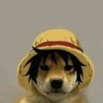 50 Best Decal IDs For Roblox - [2026 Tested]